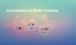Conception to Birth Timeline by Jordan Gosse on Prezi