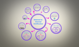 External vs. Internal Fertilization by Jasnoor Bassi on Prezi