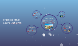 TOMS SWOT Analysis by on Prezi