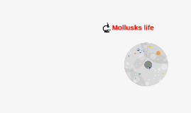 The life cycle of siamese fighting fish by maria gutierrez on Prezi