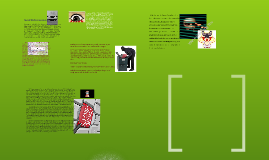 Social Media Invasion of Privacy by Lime Five on Prezi