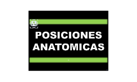 Posicion Genupectoral by Em Fierro on Prezi