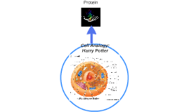 Cell Analogy: Harry Potter Edition by Megan Butler on Prezi