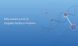 Mbi rënien e lirë të trupave.Pesha e trupave. by Lekë Zeqiri on Prezi