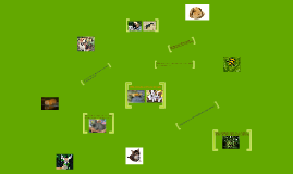 Wild vs. Tame Animals by Sarah Faszewski on Prezi