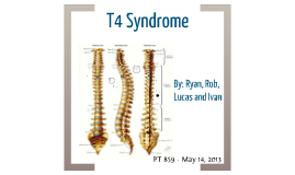 T4 Syndrome Distribution