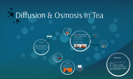 Diffusion With Tea by Kaitlyn Carter on Prezi
