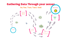 Gathering data through your senses by alicia maddock on Prezi