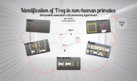 Norris lab rotation by Lauren Kinner on Prezi