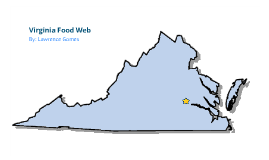 Virginia Food Web by Lawrence Gomes on Prezi