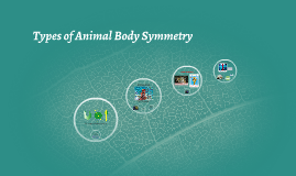 Types of Animal Body Symmetry by on Prezi