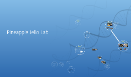 Pineapple Jello Lab by Austin Gent on Prezi