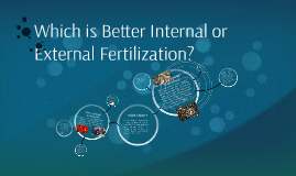 Which is better internal or external fertilization? by Emma Horbay on Prezi