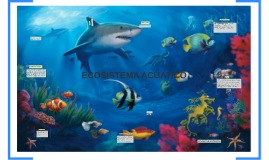 Ecosistema acuatica by Arturo Perez Martinez on Prezi