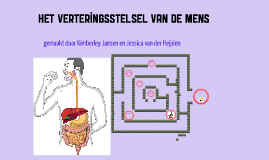 verteringsstelsel van de mens by kimberley jansen on Prezi