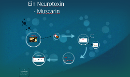 Neurotoxin - Muscarin by Corinna Schulz on Prezi