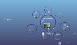 Florida Everglades Food Chain by Dr. W on Prezi