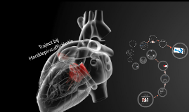Stap 3 GVO-Cyclus by Rik Andela on Prezi