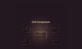 Cell Compared To City by Taylor Chapin on Prezi