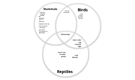 Venn - Diagram: Mammals, Birds, and Reptiles by Lorin D. on Prezi