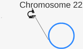 Chromosome 22 Disorders by Jake Snyder on Prezi