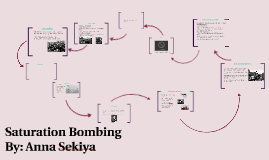Effects of Carpet Bombing in Vietnam by Corbin Steppert on Prezi