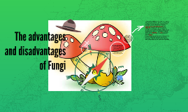 The advantages and disadvantages of Fungi by Aldren Fuentes on Prezi