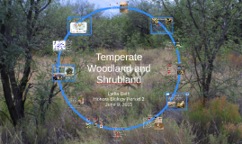 Temperate Woodland and Shrubland by Lydia Beth on Prezi