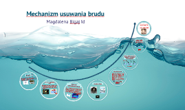 Mechanizm usuwania brudu by Magdalena Bigaj on Prezi