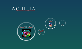 il DNA by Giovanni Tammaro on Prezi