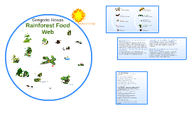 Rainforest Food Web by Gregorio Rosas on Prezi