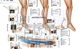 SAFENECTOMIA by Yogito Contreras on Prezi