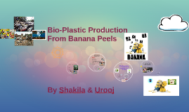 Using Banana Peels in the Production of Bio-Plastic by shakila hoque on ...