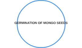 GERMINATING MONGO SEEDS by Rachele Escalante on Prezi