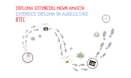 Stratification of UK Sheep Industry by Lisa Pughe on Prezi