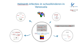 Codeboom KOIII by Lisa van Beek on Prezi
