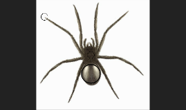 Inca and Aztec Gender Roles by Allie Reilly on Prezi