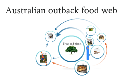 Australian food web by boekmi 289 on Prezi