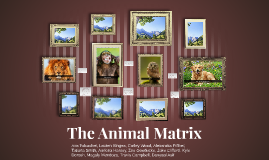 The Animal Matrix by Maggieee Mendozaaa on Prezi