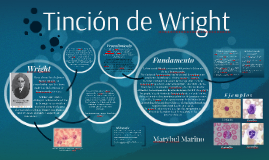 Tinción de Wright by Mary Marino on Prezi