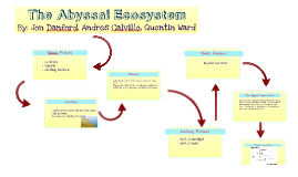 The Abyssal Ecosystem by jonathan danford on Prezi