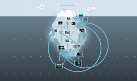 Kelp Forest Food Web by Tilman Jessen on Prezi