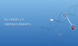 klebsiella granulomatis by Wendy Andujo C. on Prezi