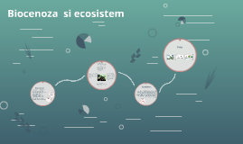 Biocenoza si ecosistem by Andrey Tkach on Prezi