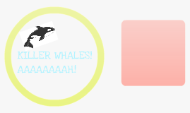 Killer Whale Reproductive System by Joanne Park on Prezi