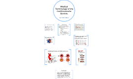 Medical Terminology of the Cardiovascular System. by kevin hartman on Prezi