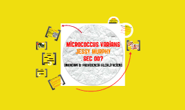 Micrococcus Varians by Jessy Murphy on Prezi