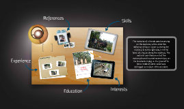ALBERT COHEN'S THEORY by ann lee on Prezi