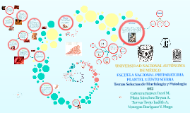 Nivel molecular, subcelular y celular by Hugo Venegas on Prezi