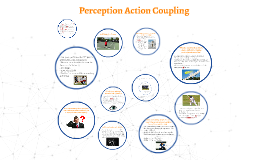Perception Action Coupling by Josh Adams on Prezi